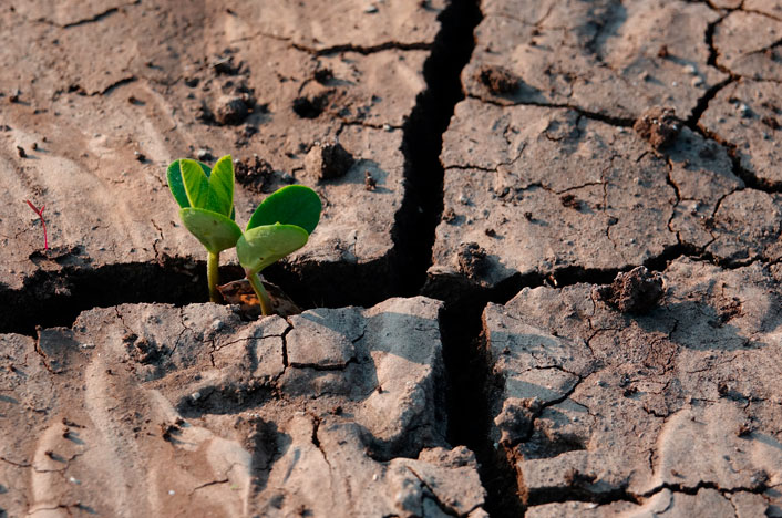 Neuquén: crean un método para ahorrar agua y prevenir sequías