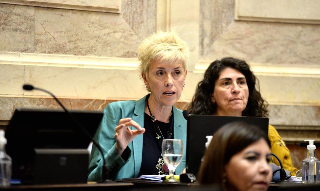 Senado: Presentan un proyecto de Ley de Regulación y Fomento del Hidrógeno