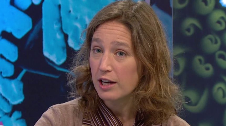 Victoria Flexer: “Nuestro diferencial es el know how para extraer y ...