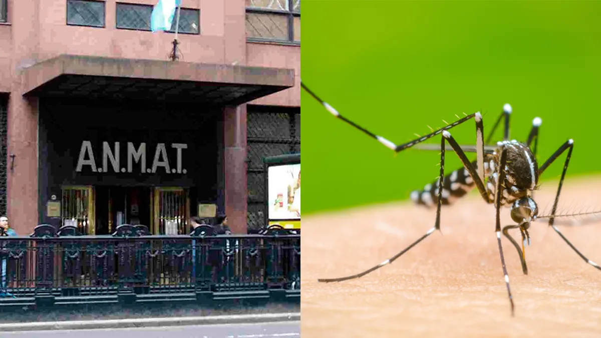 La Anmat aprobó el uso de una vacuna contra el dengue para mayores de 4 ...