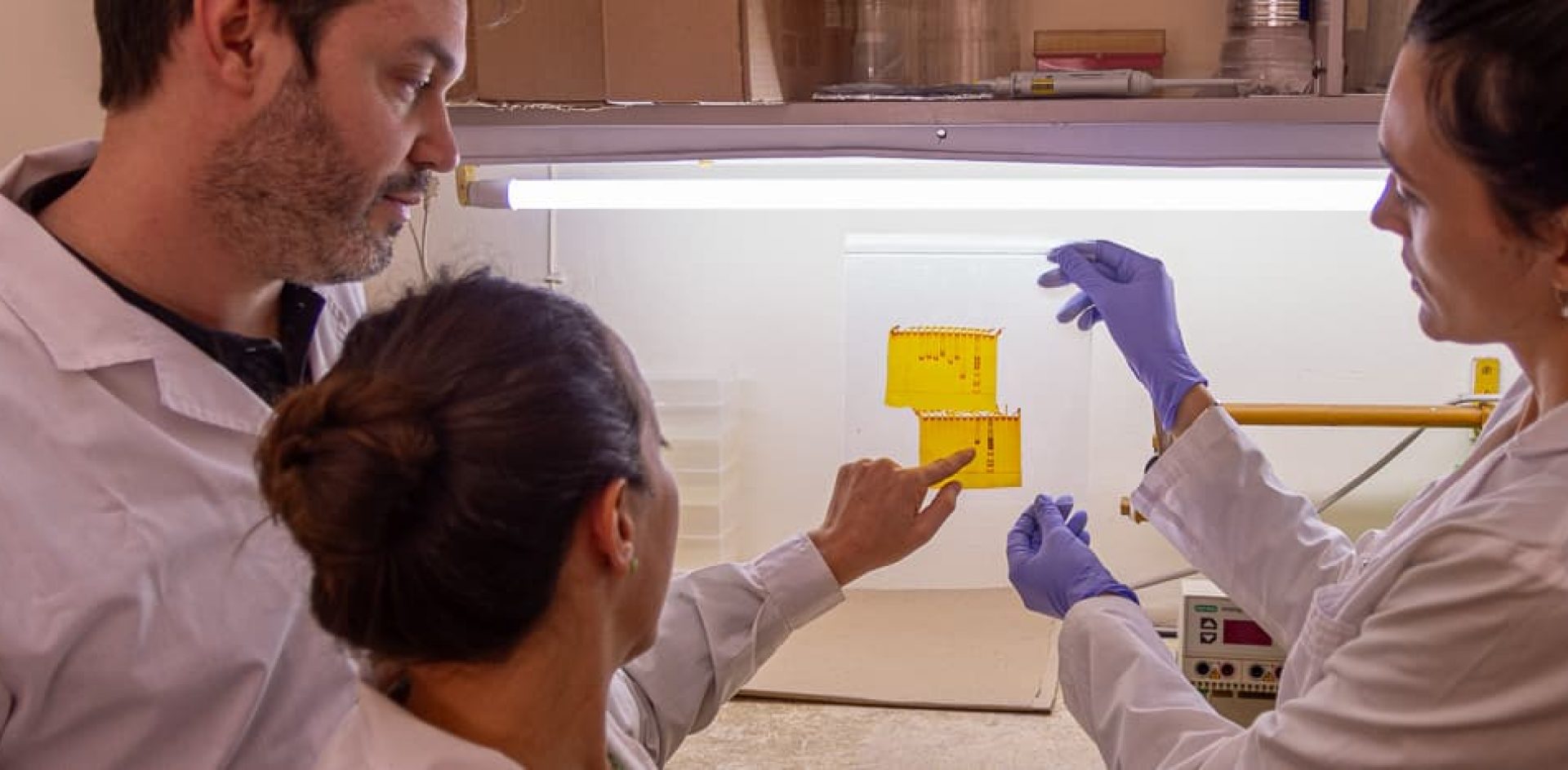 Detectan En Córdoba Un Virus Que Provoca Enfermedades Respiratorias En